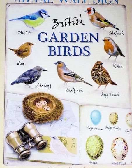 British Garden Birds Large Metal Wall Sign 40cm x 30cm